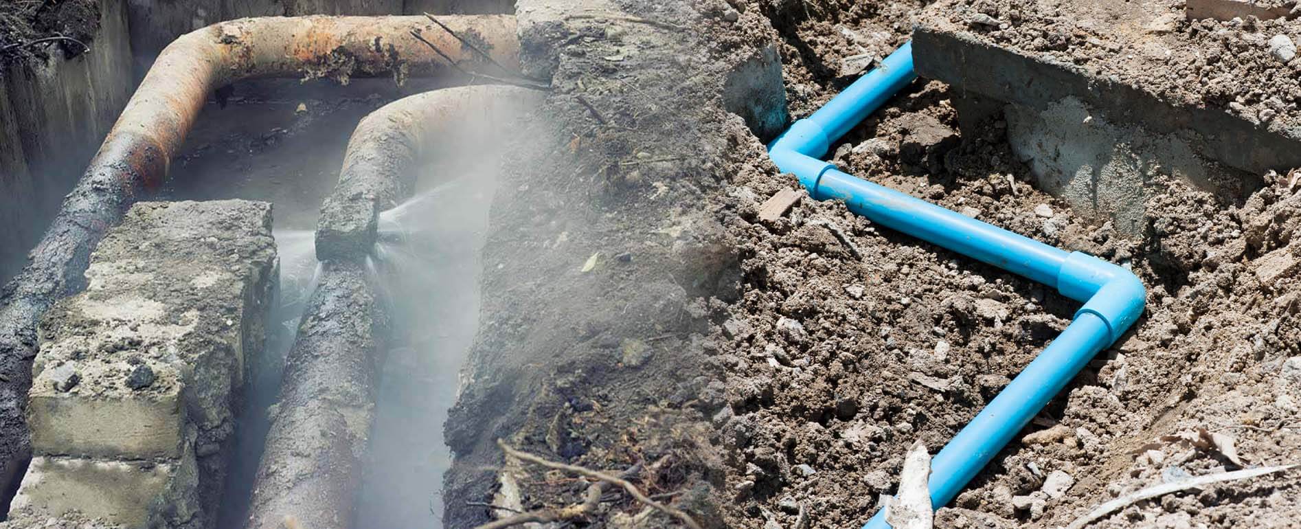 How to Detect a Sewer Line Leak: 7 Warning Signs to Watch For